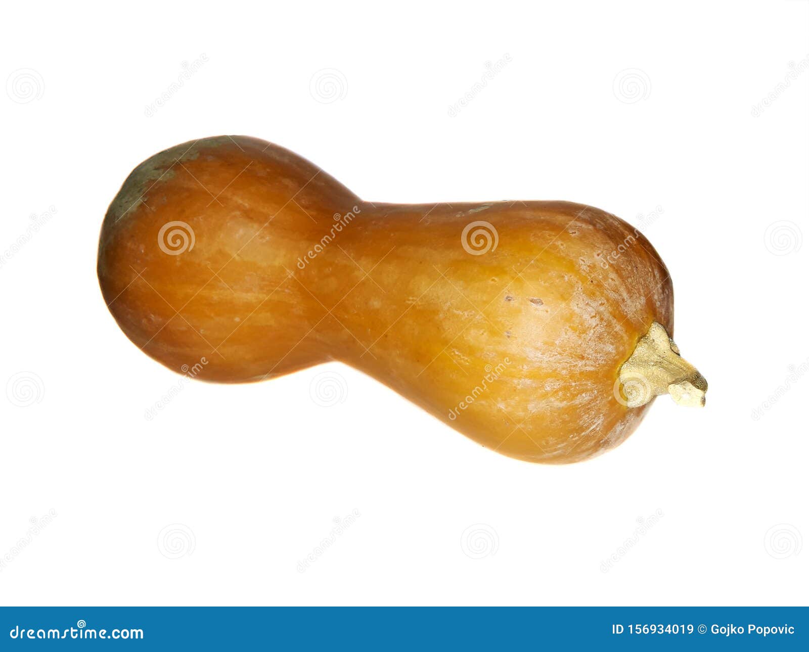 Fresh Yellow Gourd stock image. Image of yellow, orange - 156934019