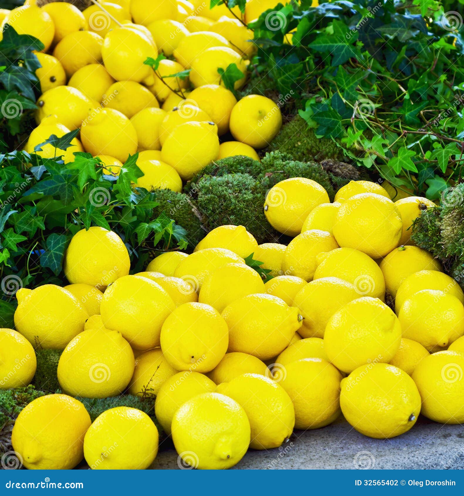 Fresh yellow lemons stock photo. Image of nutritious - 32565402