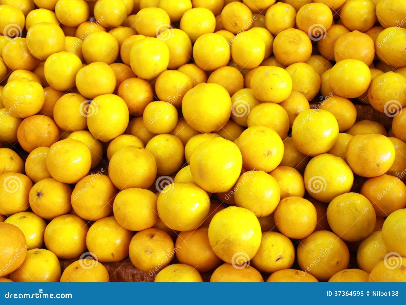 Fresh yellow lemons stock photo. Image of closeup, agriculture - 37364598