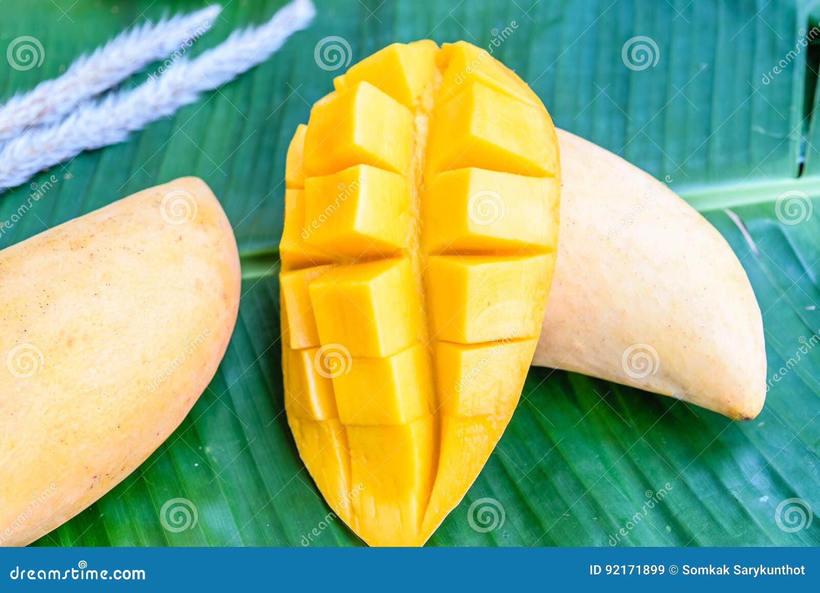 Fresh yellow mango stock image. Image of sweet, delicius - 92171899
