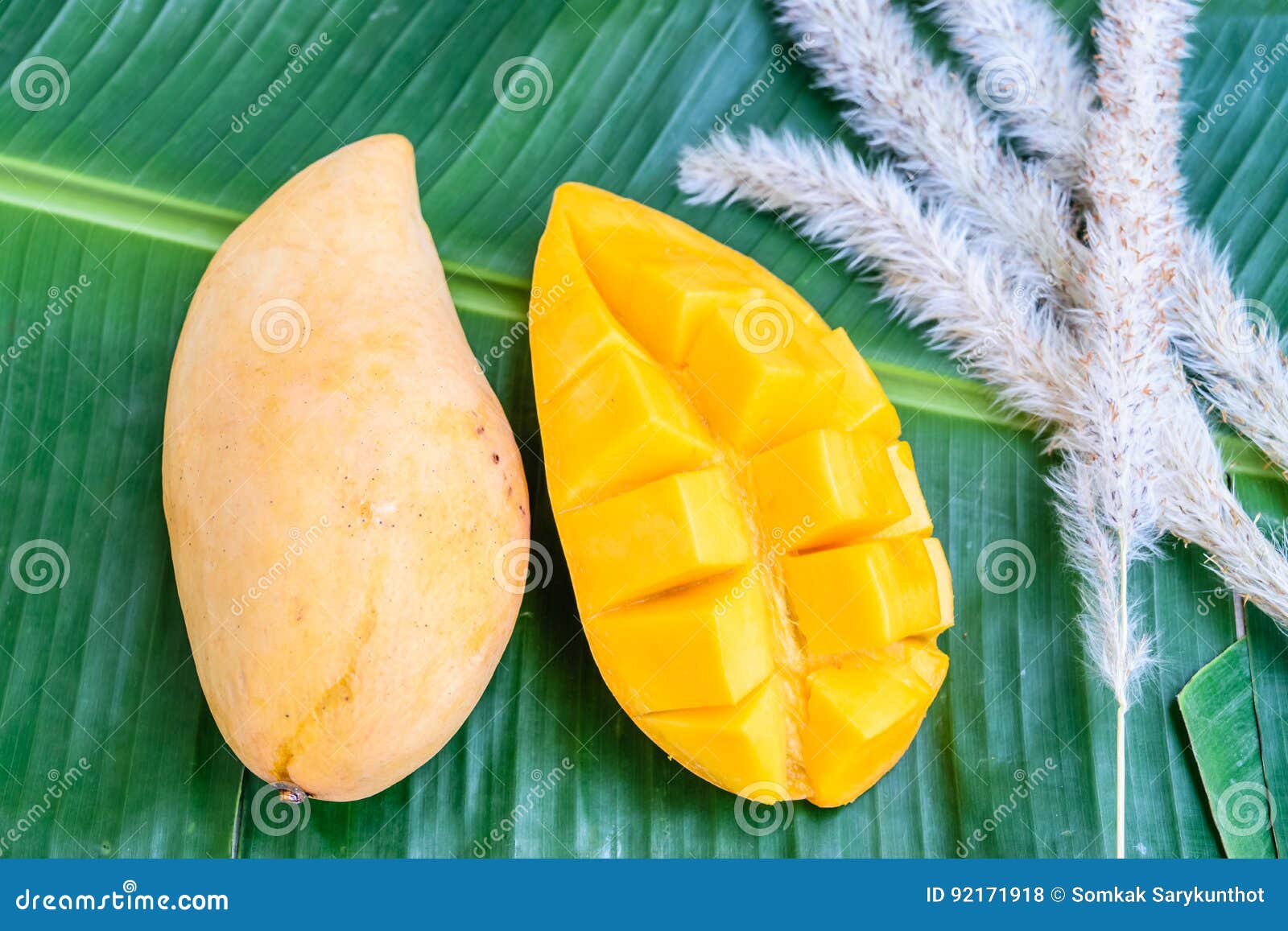 Fresh yellow mango stock photo. Image of tasty, gourmet - 92171918