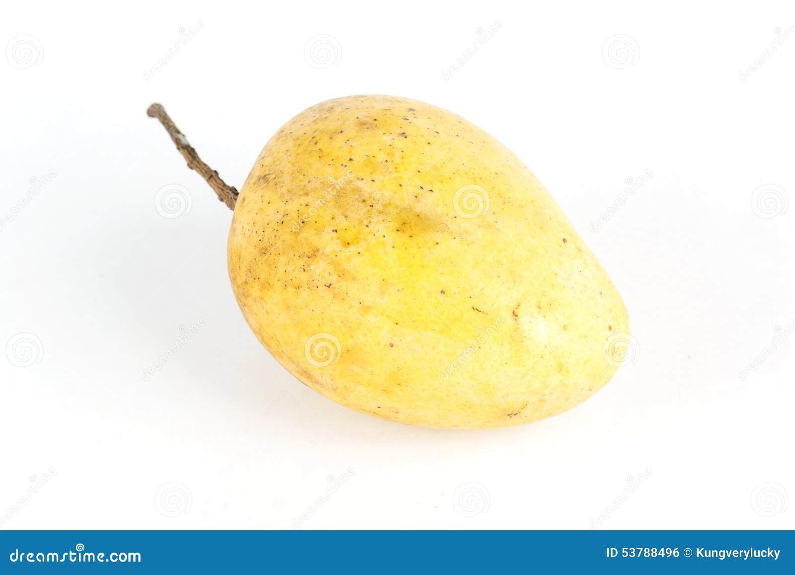 Fresh yellow mango stock photo. Image of green, still - 53788496