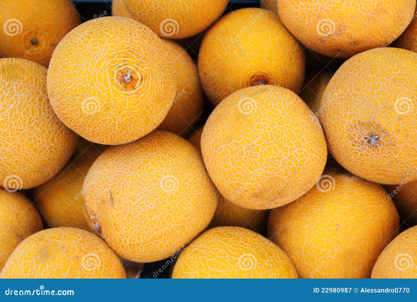 Fresh yellow melons stock image. Image of fresh, organic - 22980987