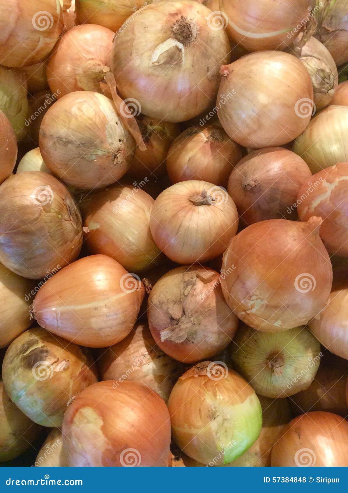 Fresh yellow onions crop stock photo. Image of food, nature - 57384848