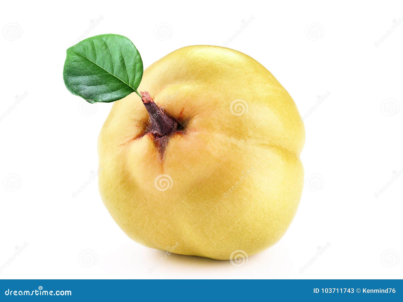 Fresh Yellow Quince with Slice Isolated White Background Stock Image ...