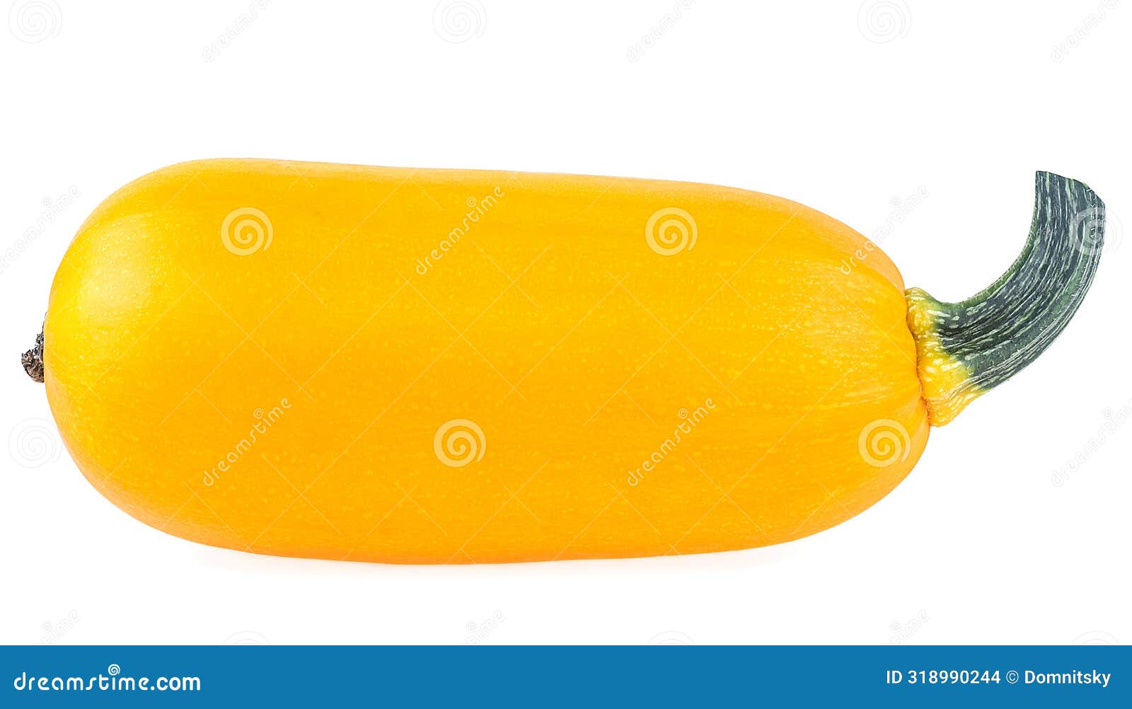 Fresh Yellow Zucchini Vegetable Isolated on White Background. Courgette ...