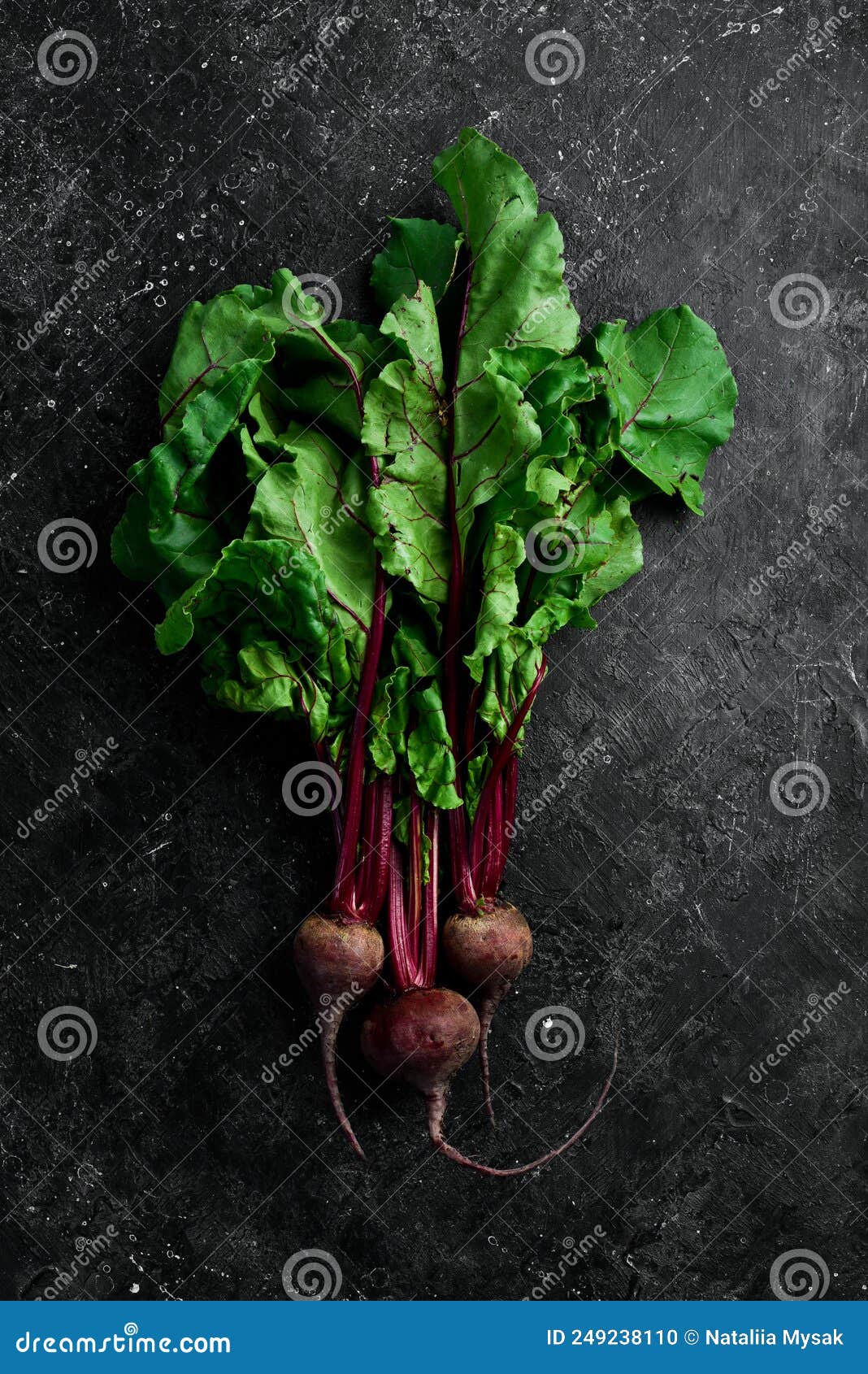 Fresh Young Beets with Green Leaves. on a Black Background Stock Photo ...