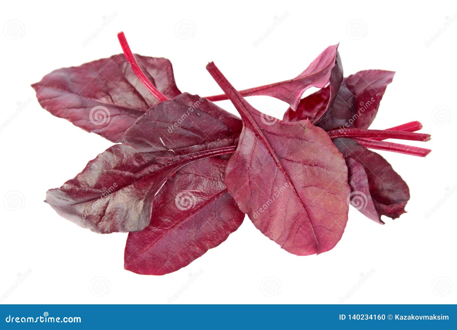 Fresh Chard Red Leaves Isolated on White Background Stock Photo - Image ...