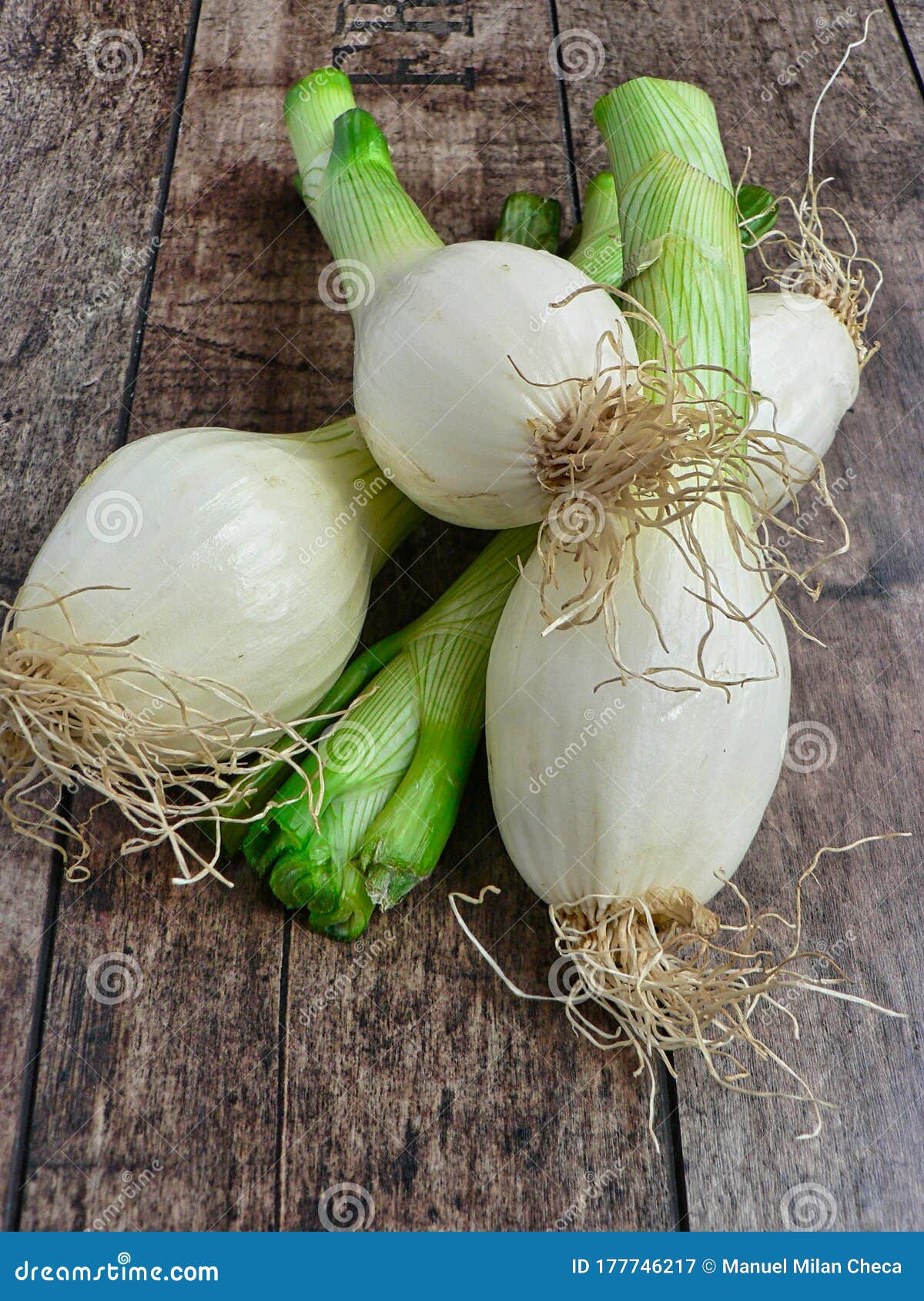 Fresh Young Onions on Wooden Table Stock Image - Image of table, group ...