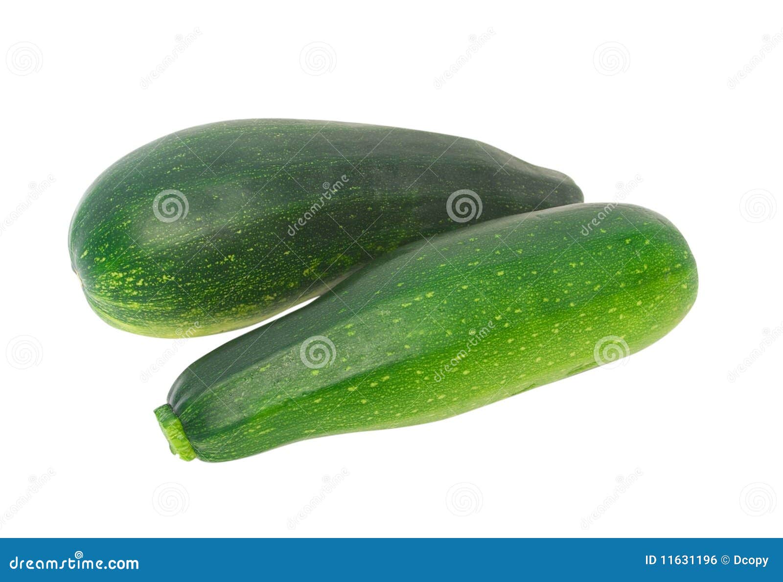 Fresh zucchini stock photo. Image of pumpkin, ingredient - 11631196