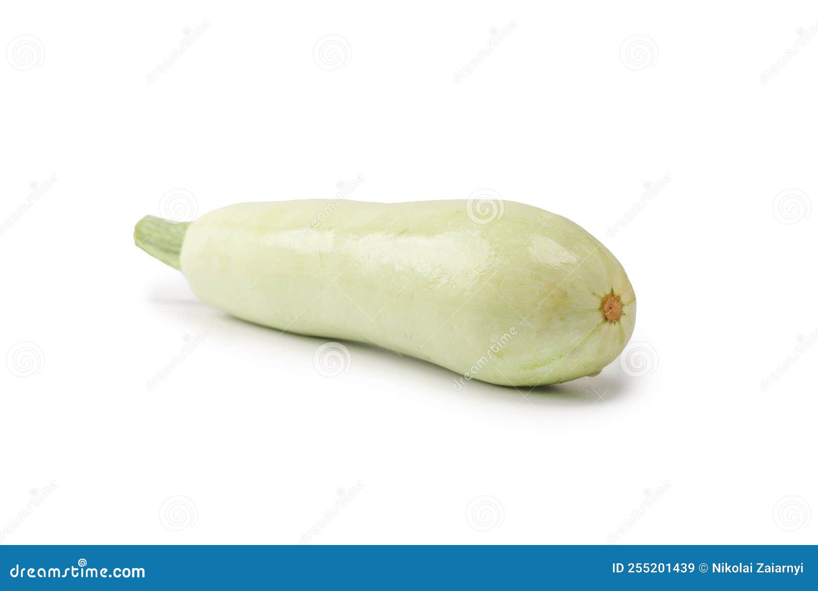 Fresh Zucchini Isolated on a White Background Stock Image - Image of ...