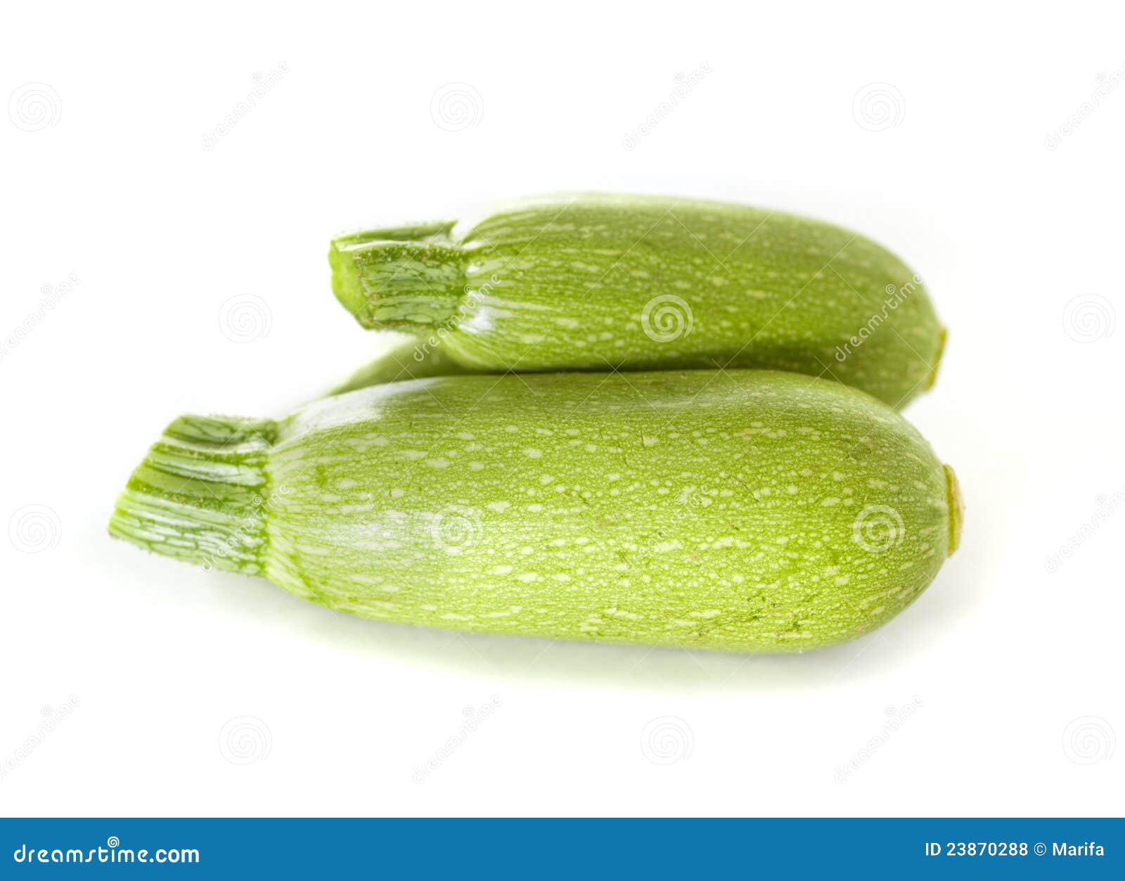 Fresh zucchini marrow stock photo. Image of white, healthy - 23870288