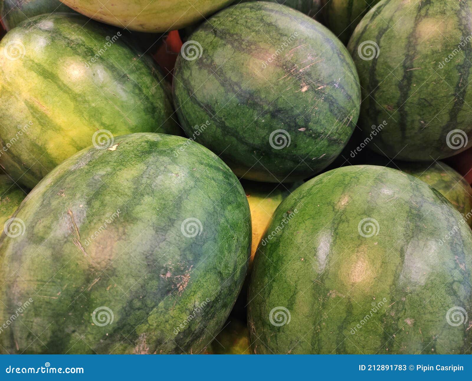 Freshen Green Watermelon Juicy Arranged Stock Image - Image of ...
