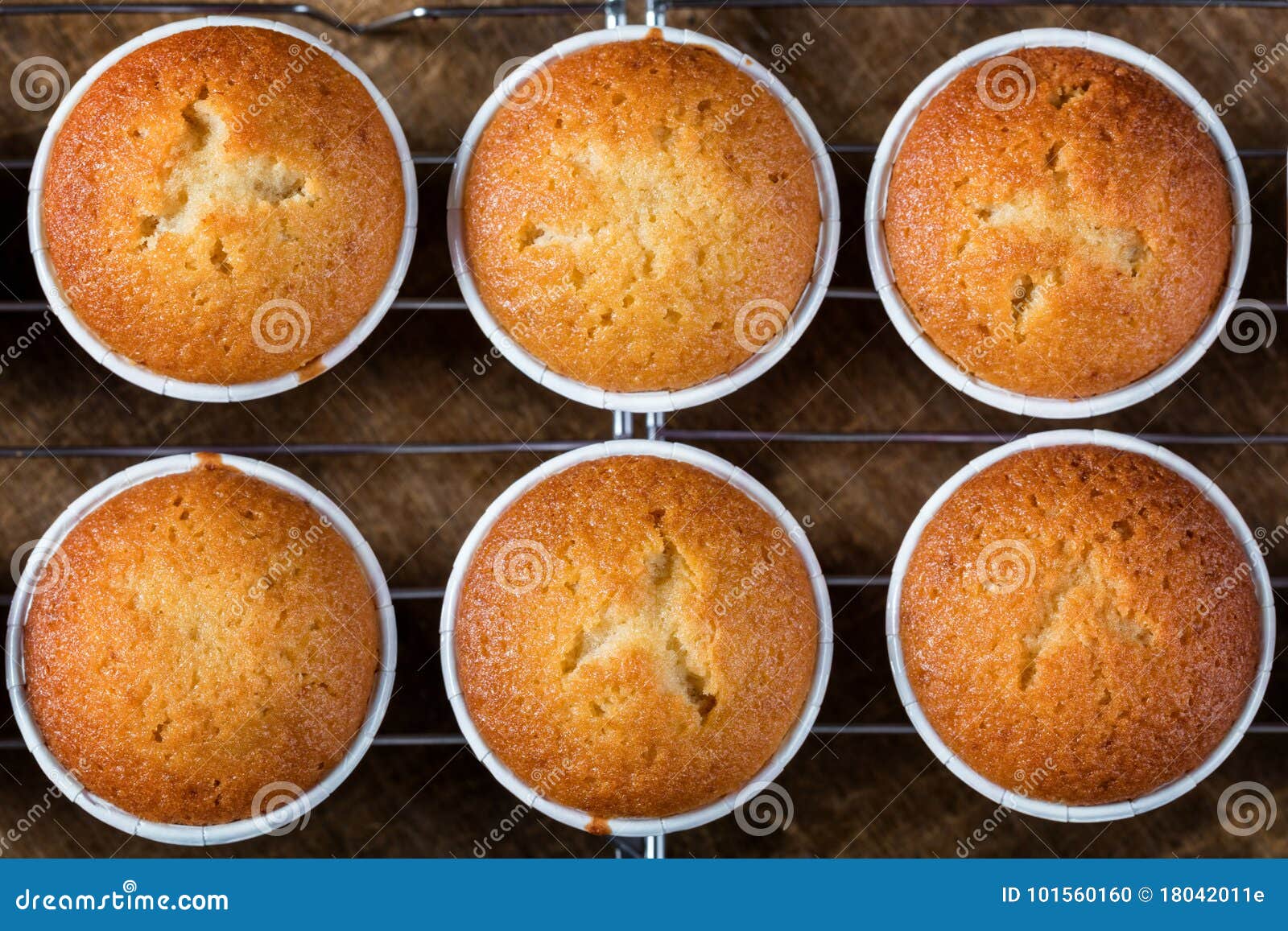 Freshly Backed Plain Cupcakes on Cooling Ruck , Close Up Stock Photo ...