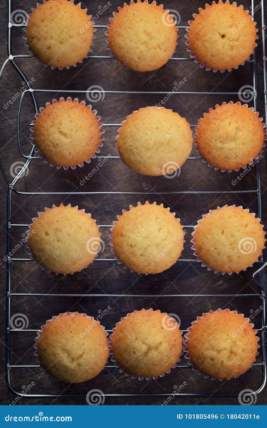 Freshly Backed Plain Cupcakes on Cooling Ruck, Top View, Close Stock ...