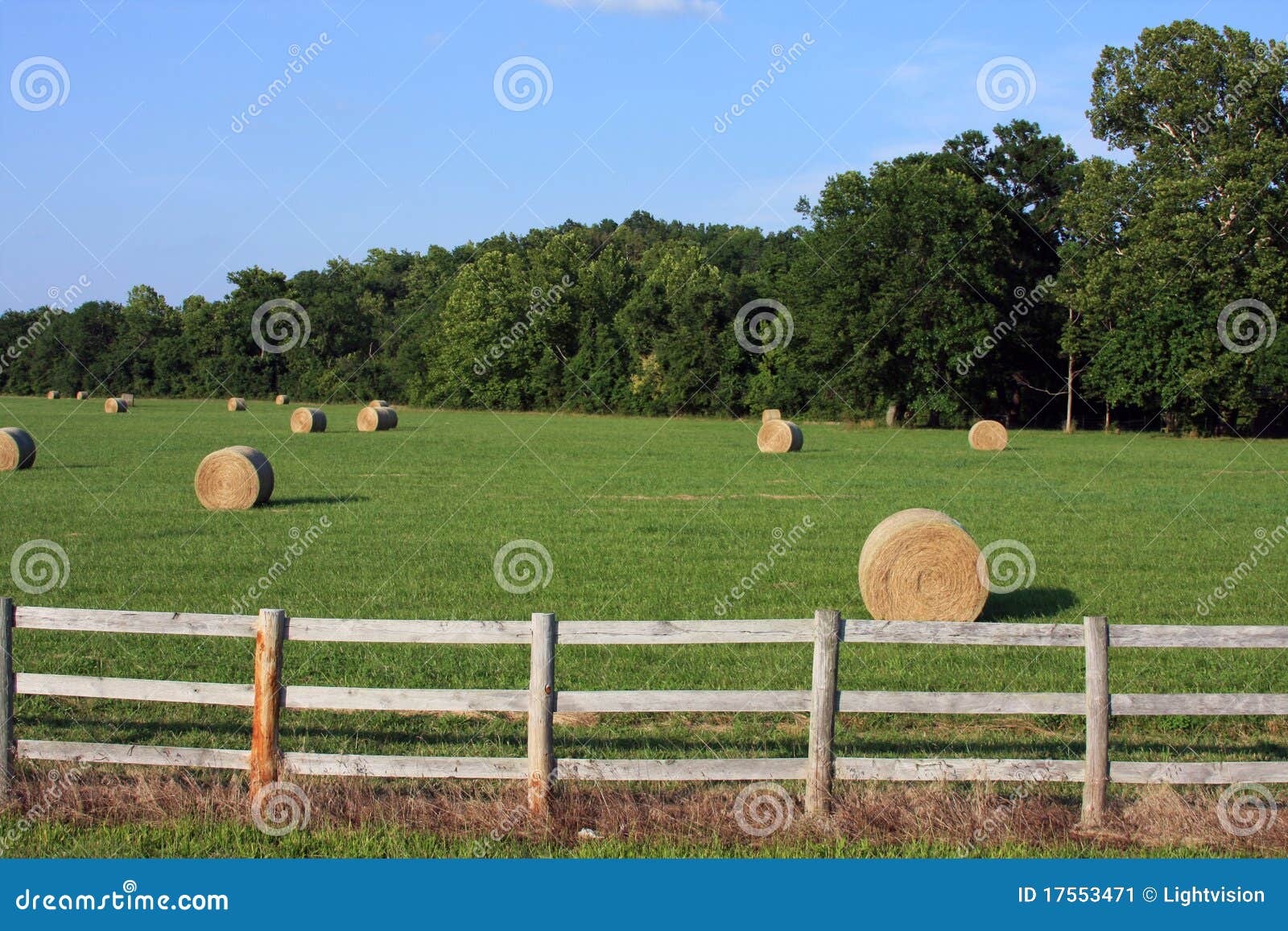 Freshly bailed hay stock image. Image of wheat, grain - 17553471
