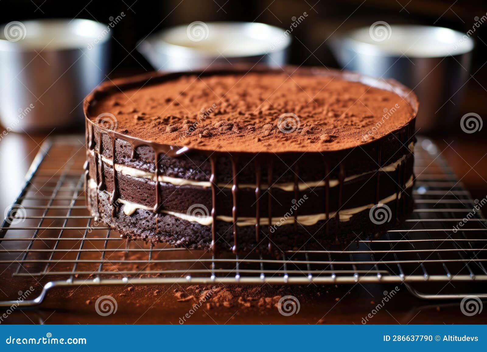 Freshly Baked Chocolate Cake Layers on Cooling Rack Stock Photo - Image ...