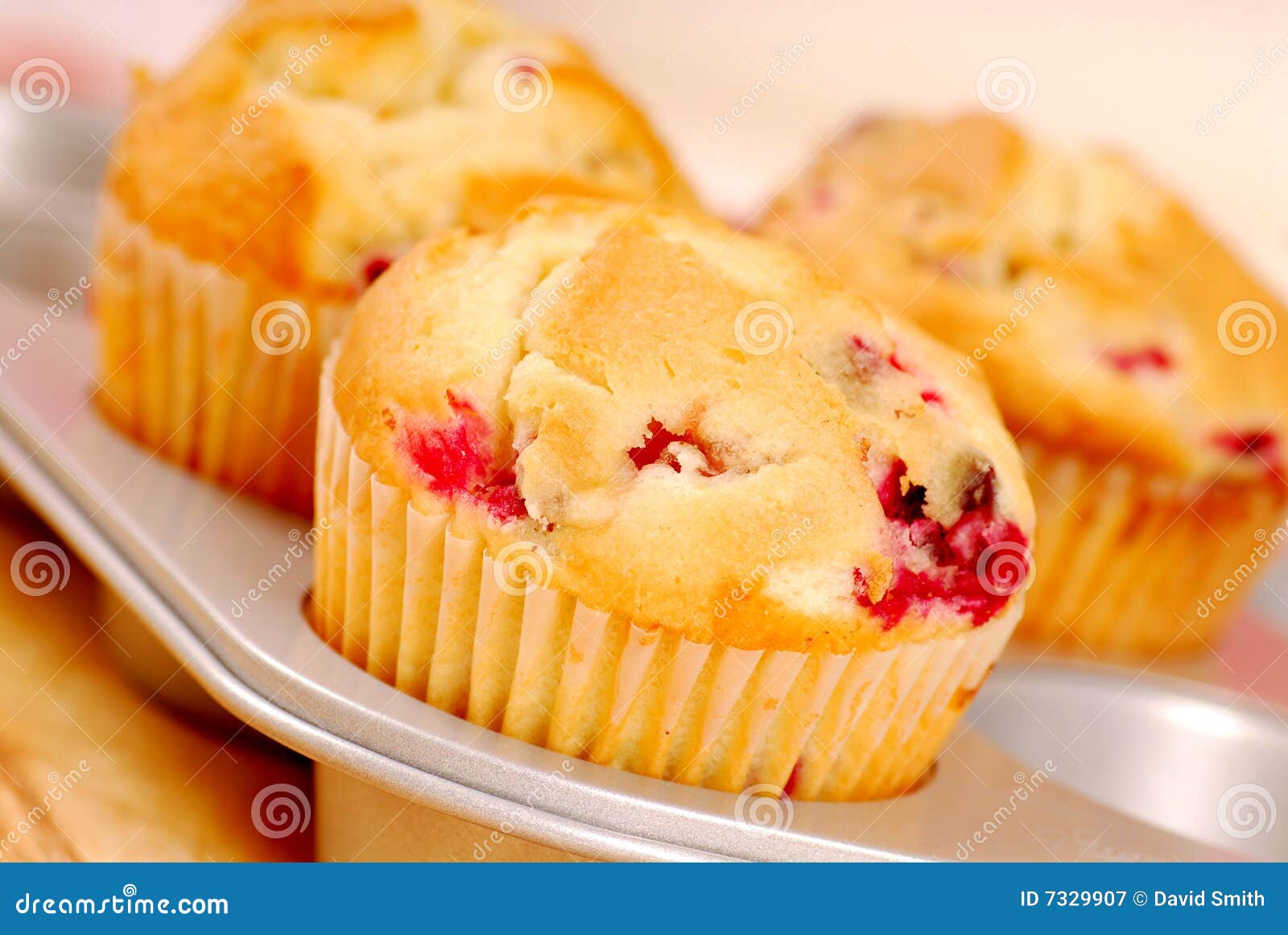 Freshly Baked Cranberry Muffins Stock Image - Image of delicious ...
