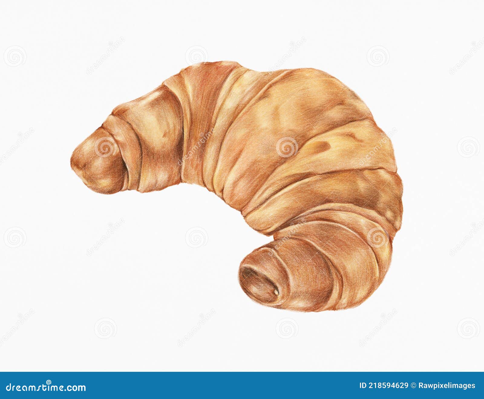 Freshly Baked Croissant Hand-drawn Illustration Stock Illustration ...