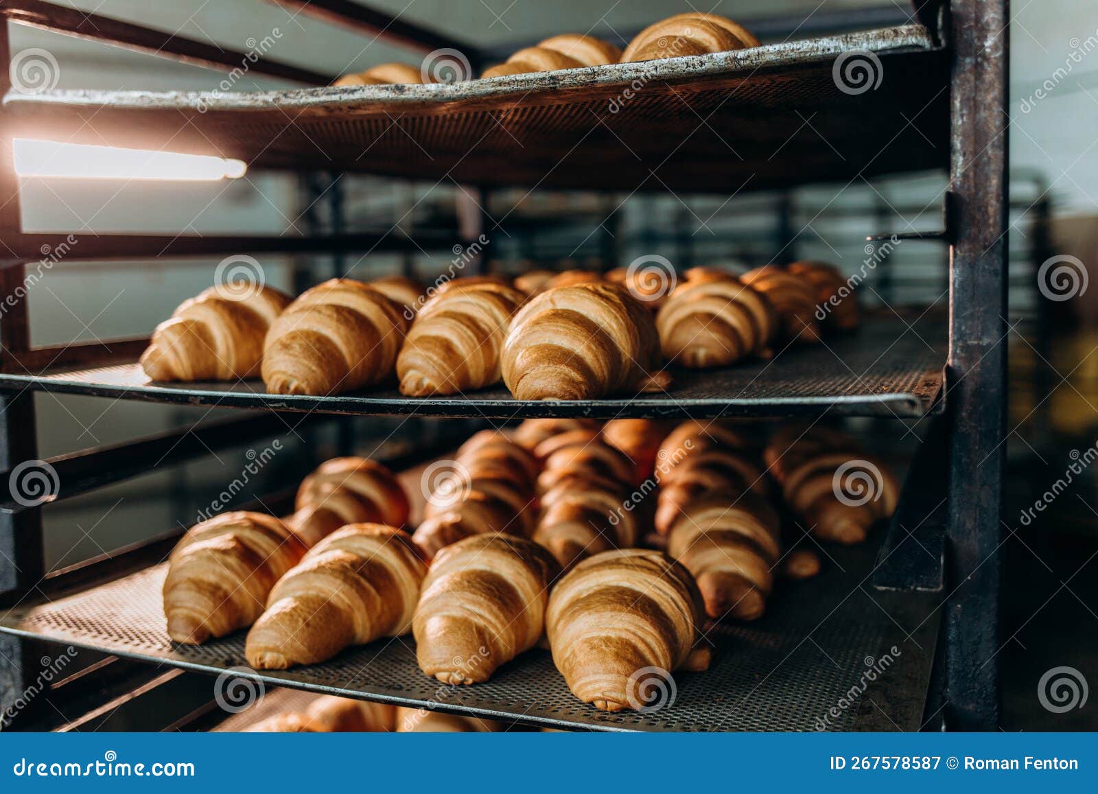 Freshly Baked Croissants in the Baking Oven Stock Image - Image of ...