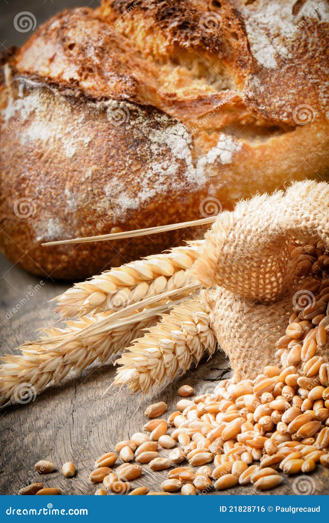 Freshly Baked Traditional Bread Stock Photo - Image of corn, fiber ...