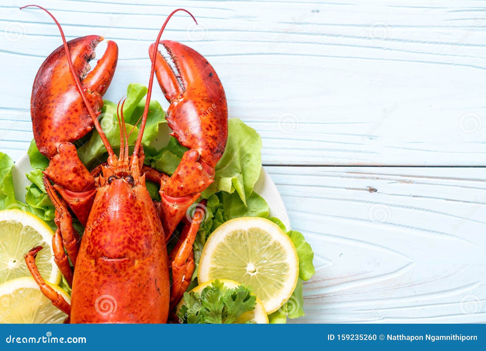Boiled Lobster with Vegetable and Lemon Stock Photo - Image of lettuce ...