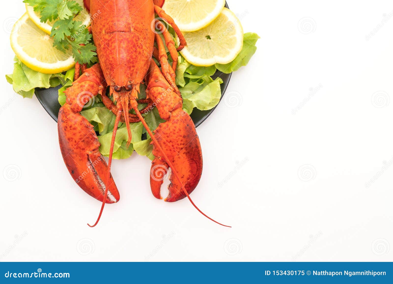 Freshly Boiled Lobster with Vegetable and Lemon Stock Image - Image of ...
