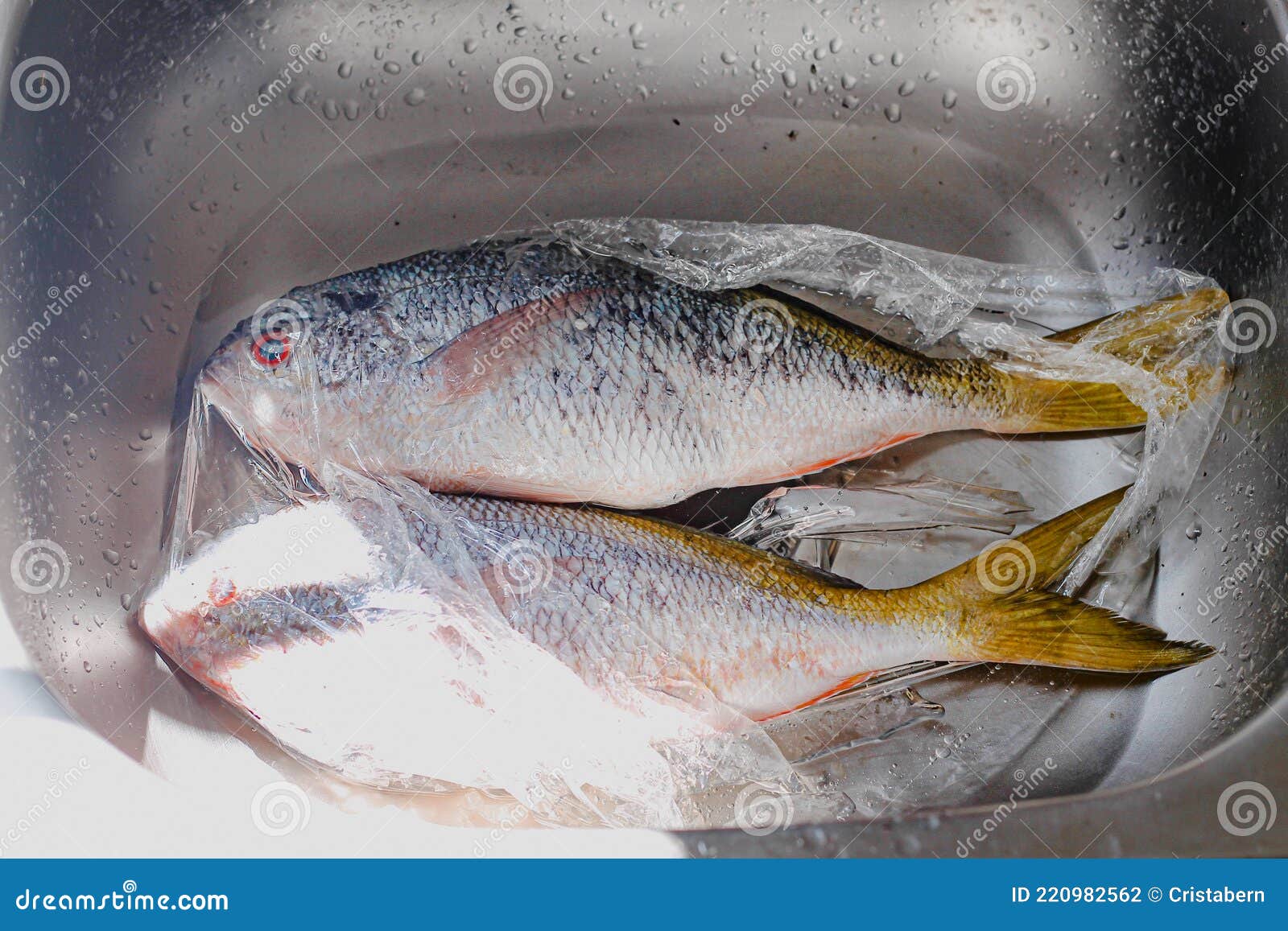 Freshly Bought Fish on Kitchen Sink Stock Photo - Image of healthy ...