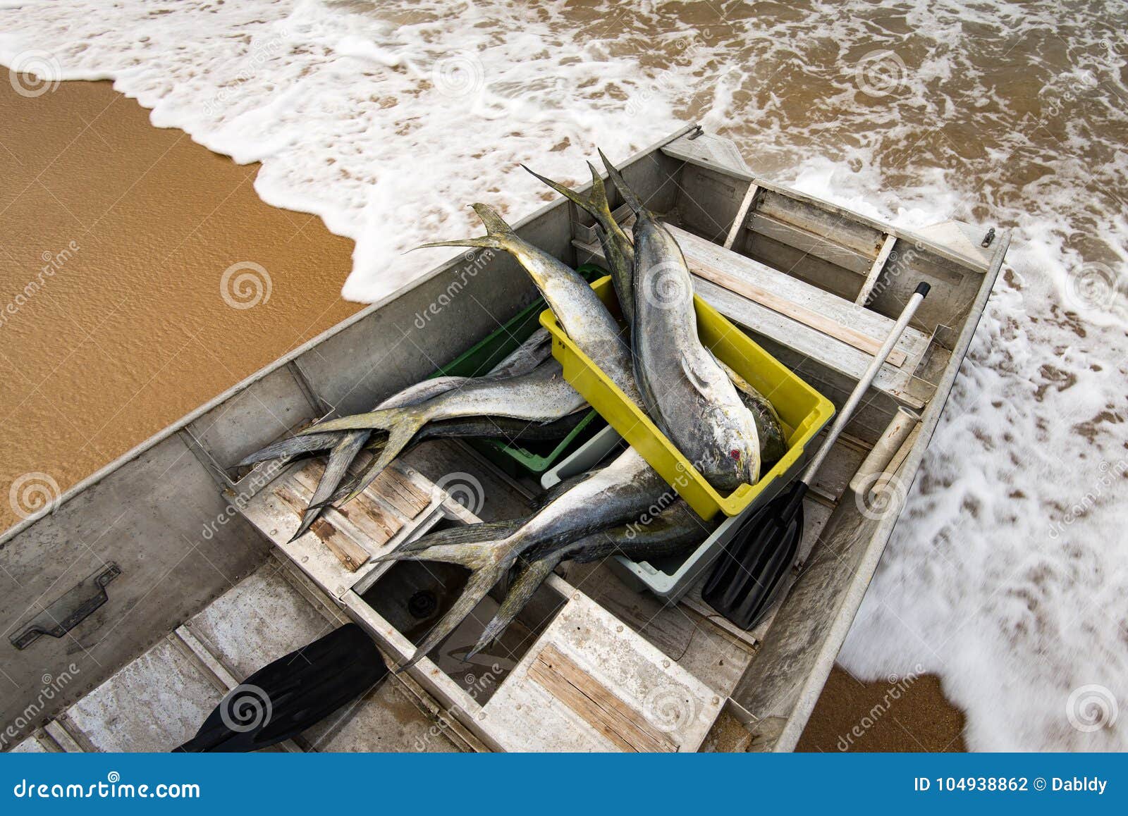Fresh Fish in Boat stock photo. Image of catch, amberjack - 104938862