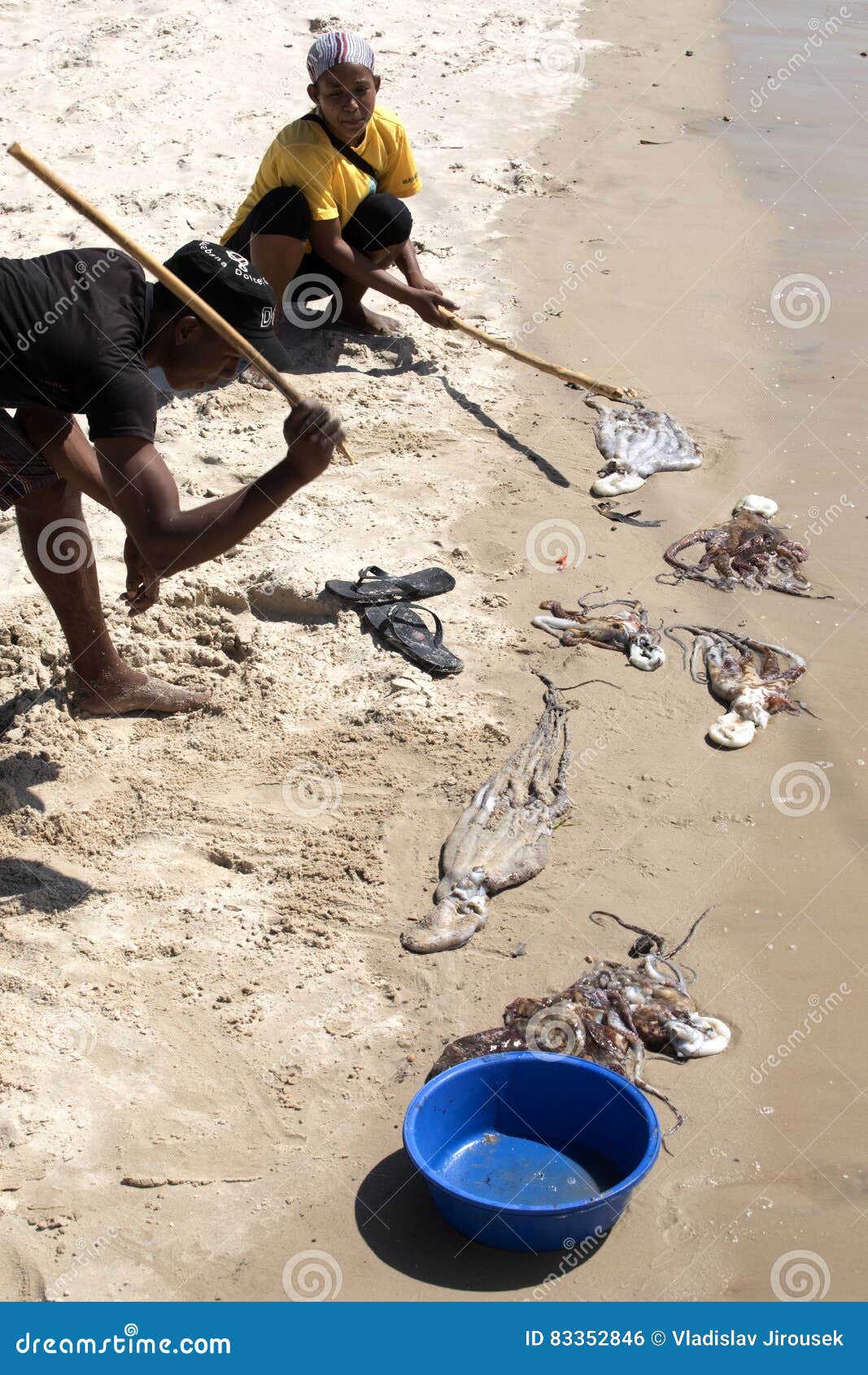 Fish Fry, Indian Fish Surmai Cooked With Flour, Semolina And Spices To ...