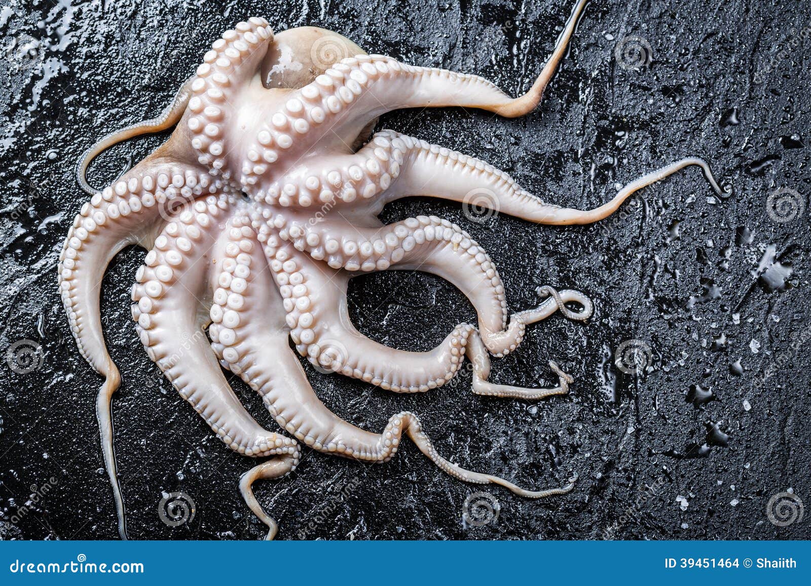 Freshly Caught Octopus on Rock Stock Photo - Image of fishing, life ...