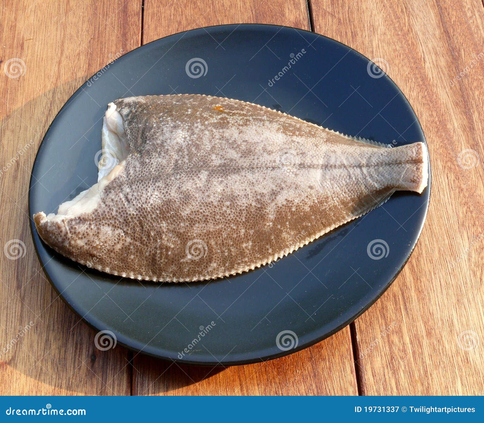 Freshly caught plaice stock image. Image of fresh, caught - 19731337