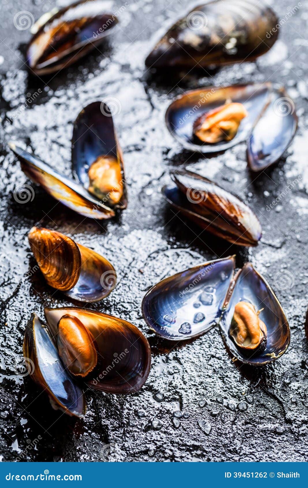 Freshly caught raw mussels stock photo. Image of alternatives - 39451262