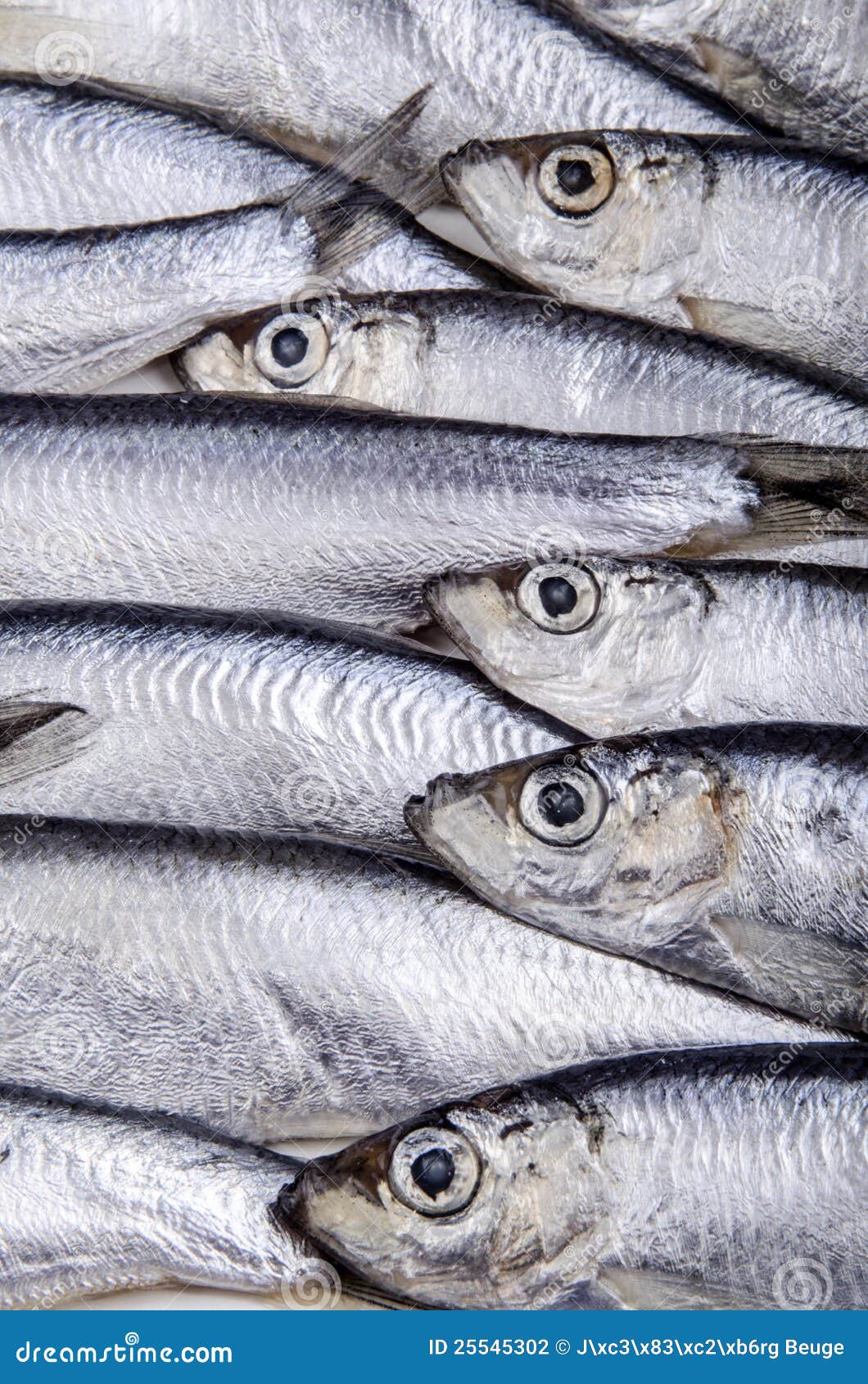 1,398 Silver Sprat Photos - Free & Royalty-Free Stock Photos from ...