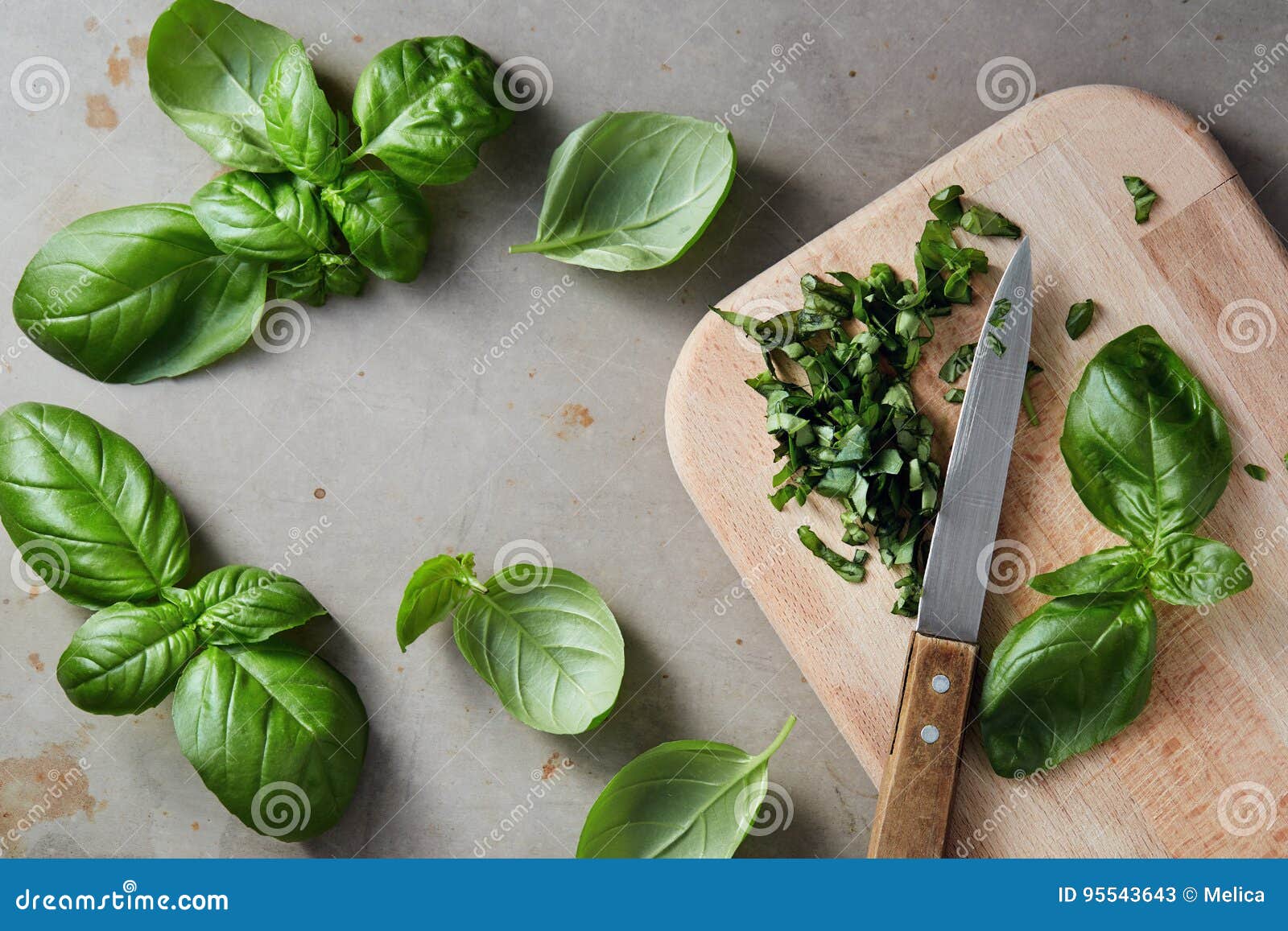 Freshly Chopped Basil Leaves. Stock Image - Image of chopping, cooking ...