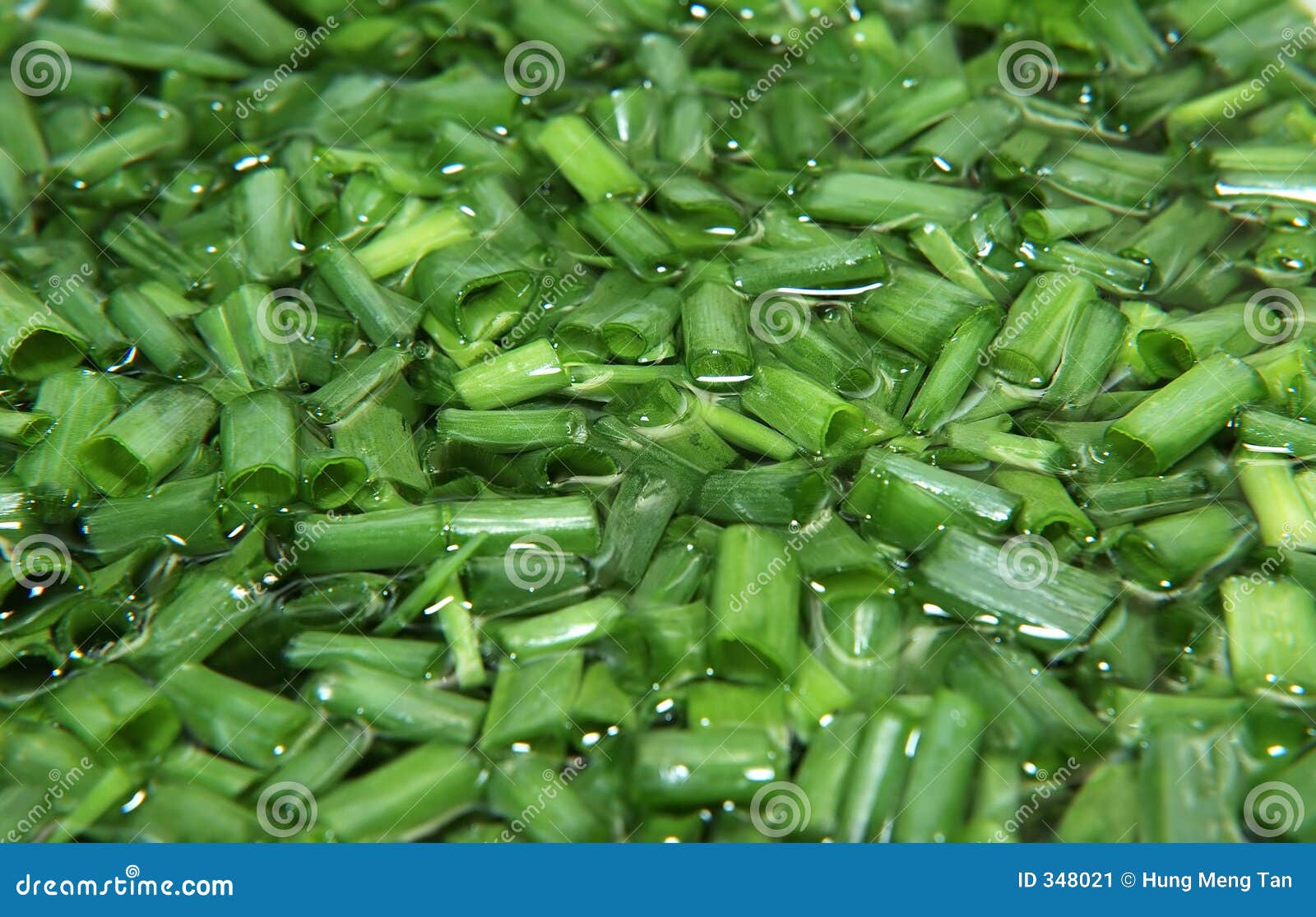 Freshly Chopped Spring Onion Stock Image - Image of onion, spring: 348021