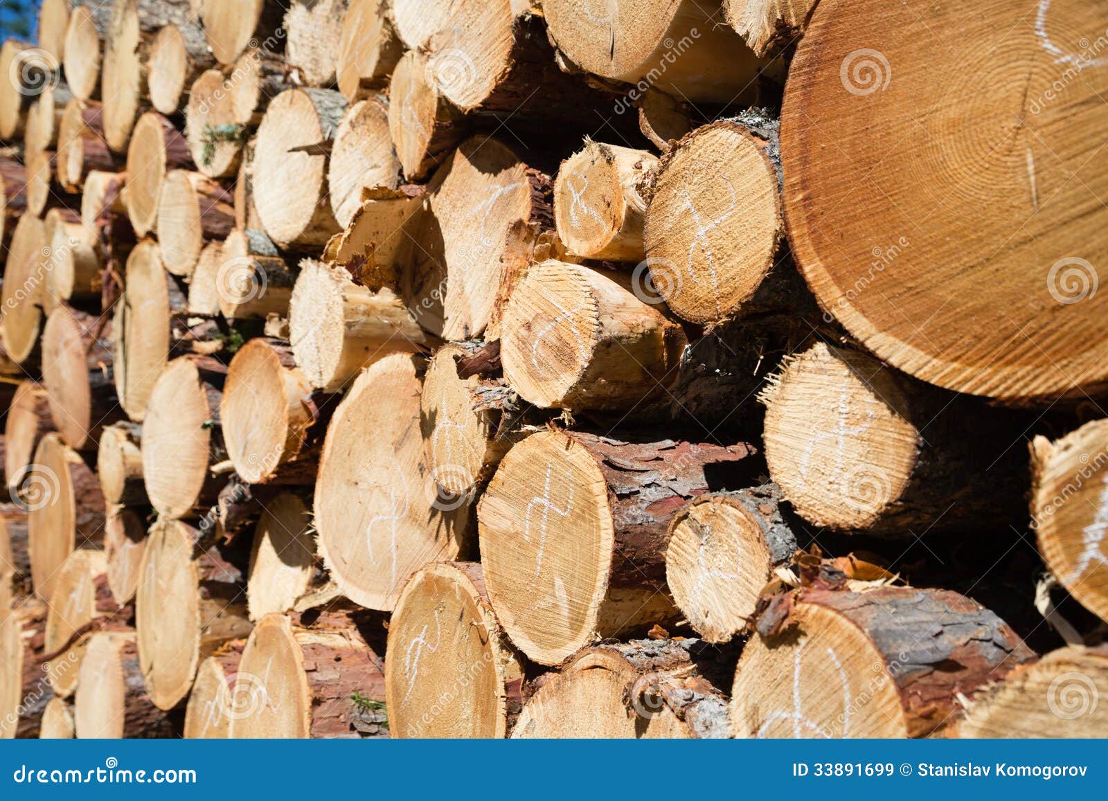Freshly chopped tree logs stock image. Image of processing - 33891699