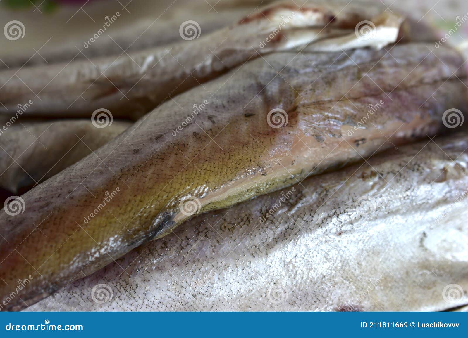 Freshly Cleaned Fish Pollock Sirloin Meat Stock Image - Image of ...
