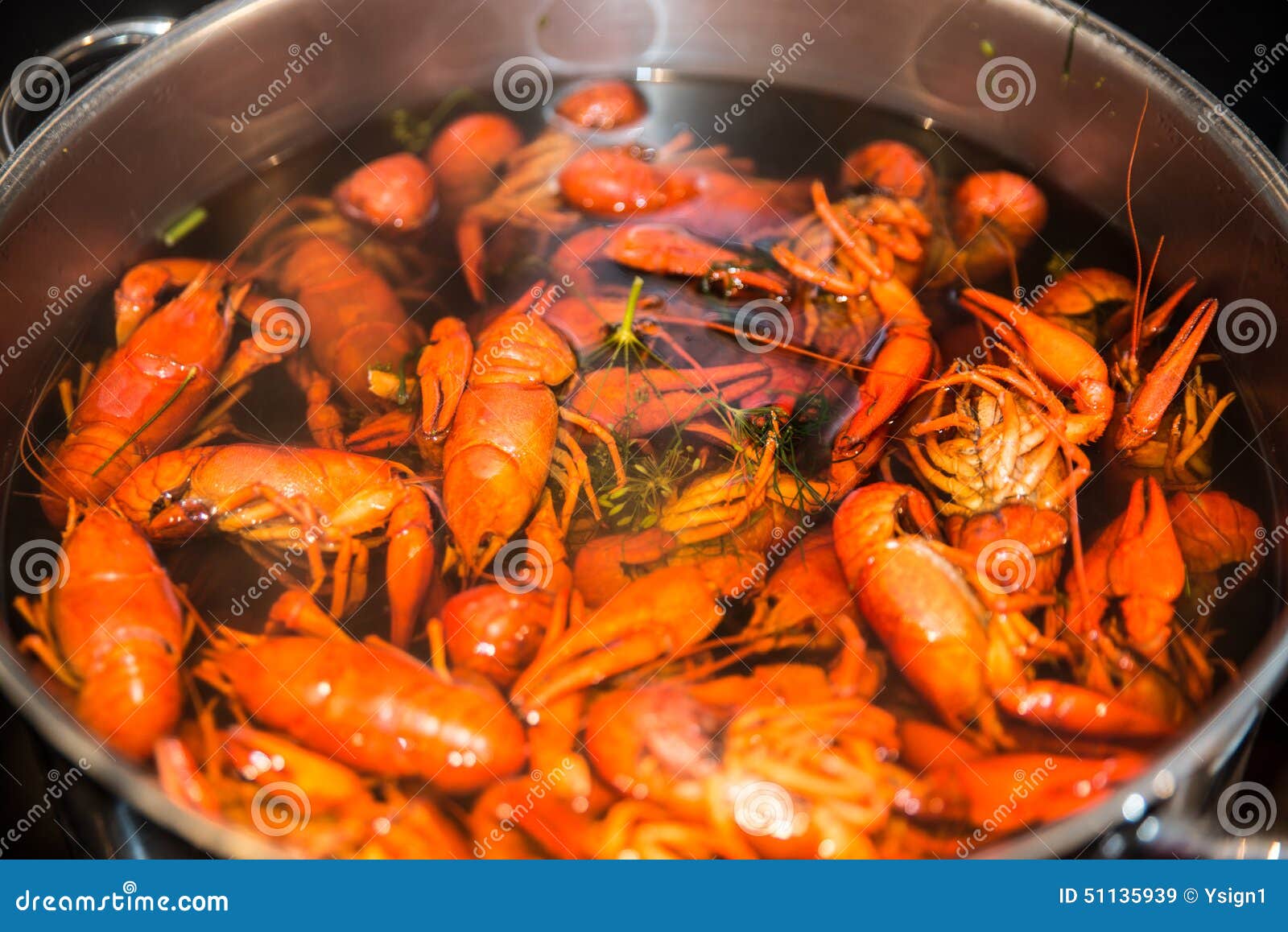 Freshly Cooked Crayfish with Dill and Salt Stock Image - Image of ...