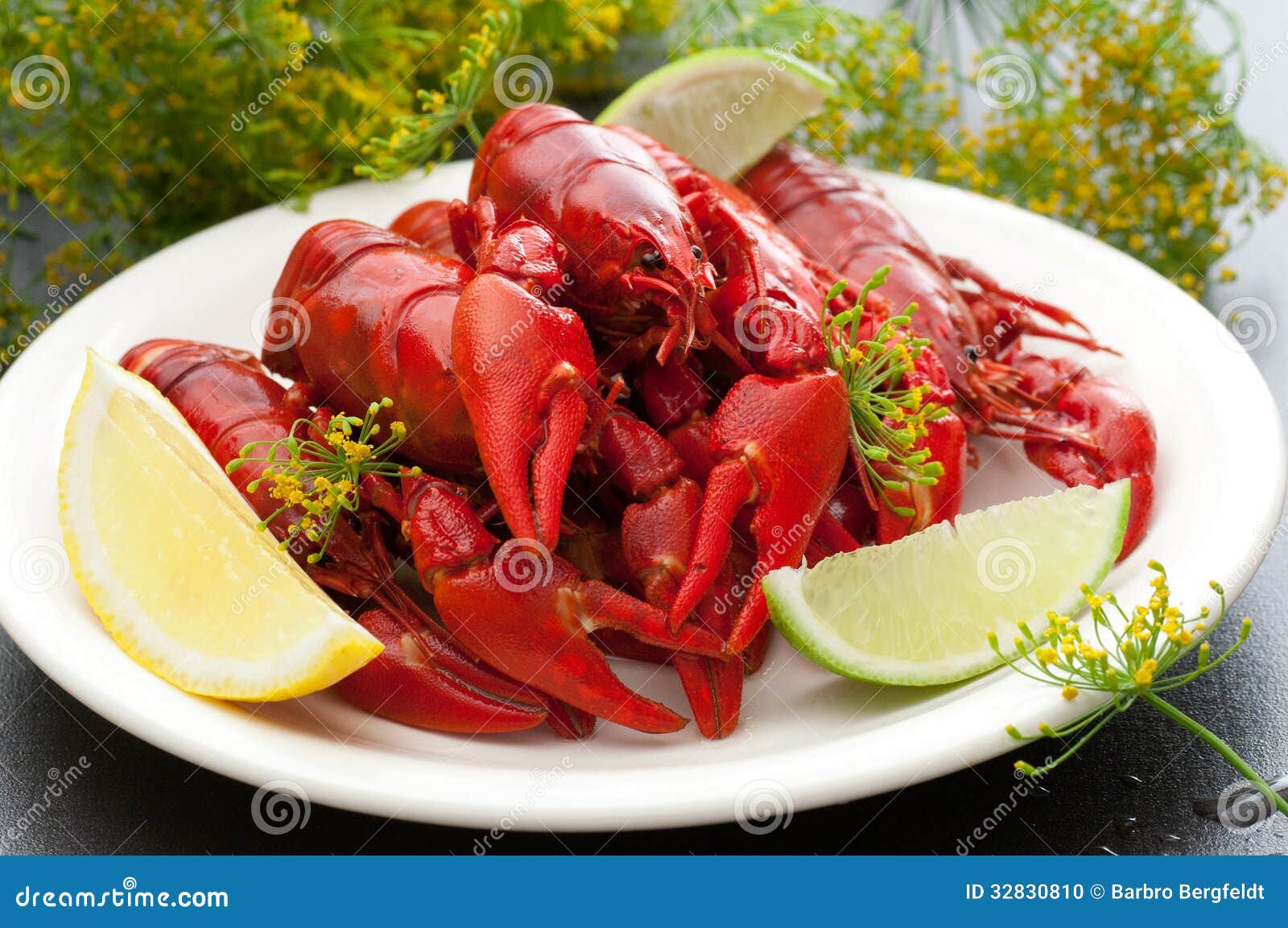 Freshly Cooked Crayfish stock photo. Image of flower - 32830810