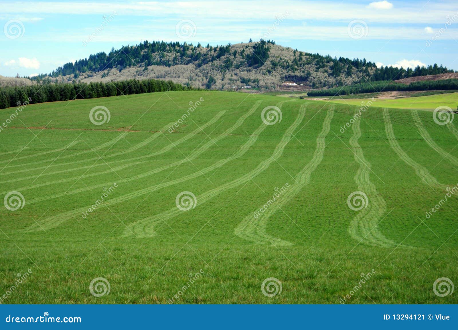 Freshly cut field stock image. Image of country, lawn - 13294121
