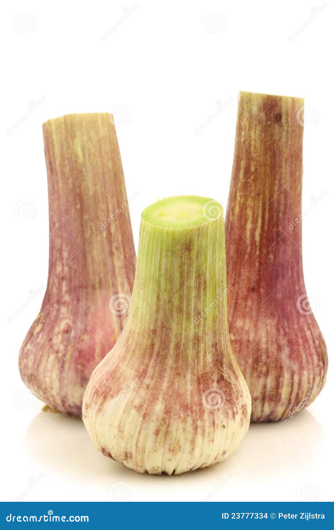 Freshly cut garlic bulbs stock photo. Image of ripe, scent - 23777334