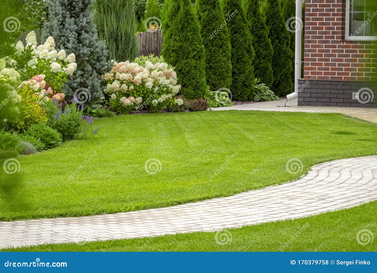Freshly cut grass stock photo. Image of flower, countryside - 170379758