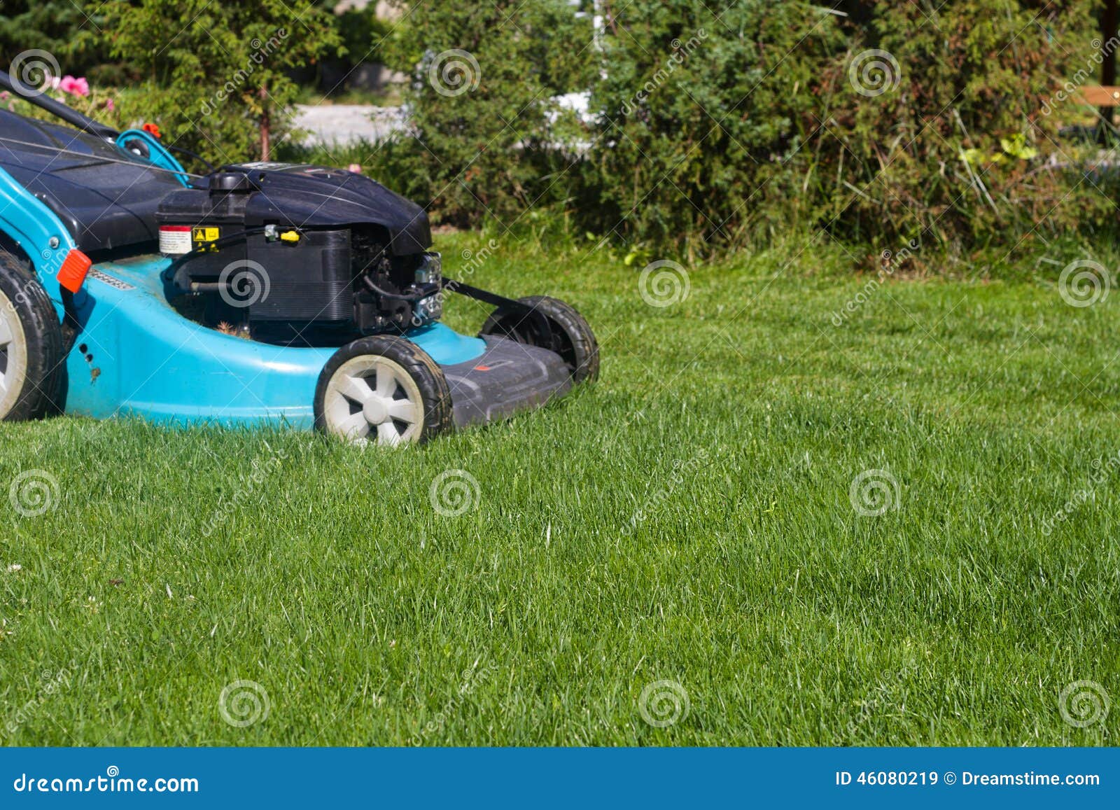 Freshly cut green grass stock image. Image of machine - 46080219
