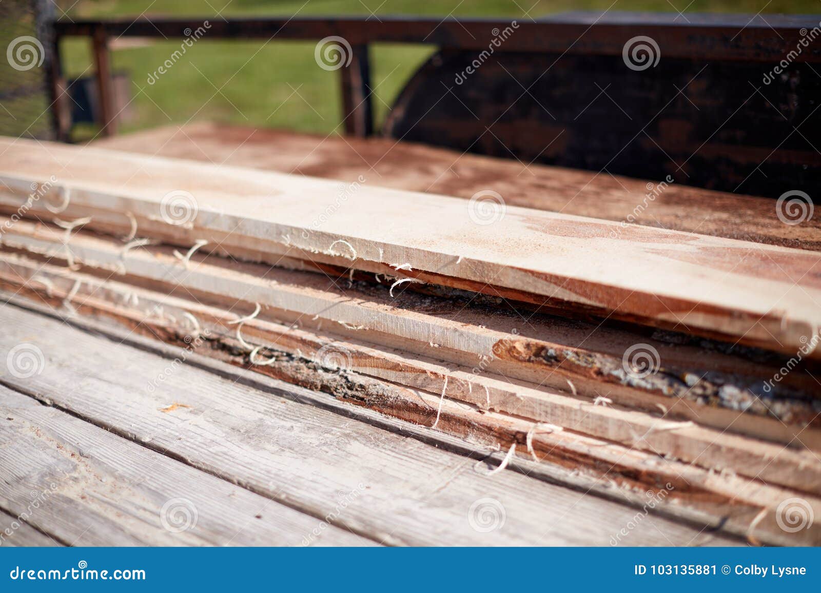 Freshly Cut Rough Sawed Planks of Lumber Stock Image - Image of ...