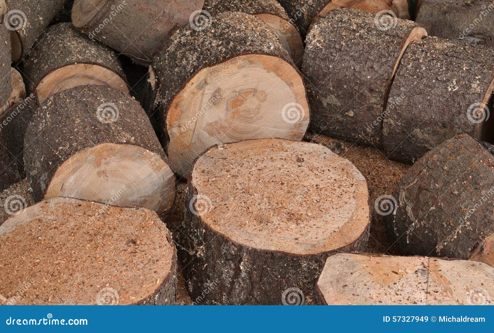 Freshly cut spruce wood stock image. Image of tree, background - 57327949