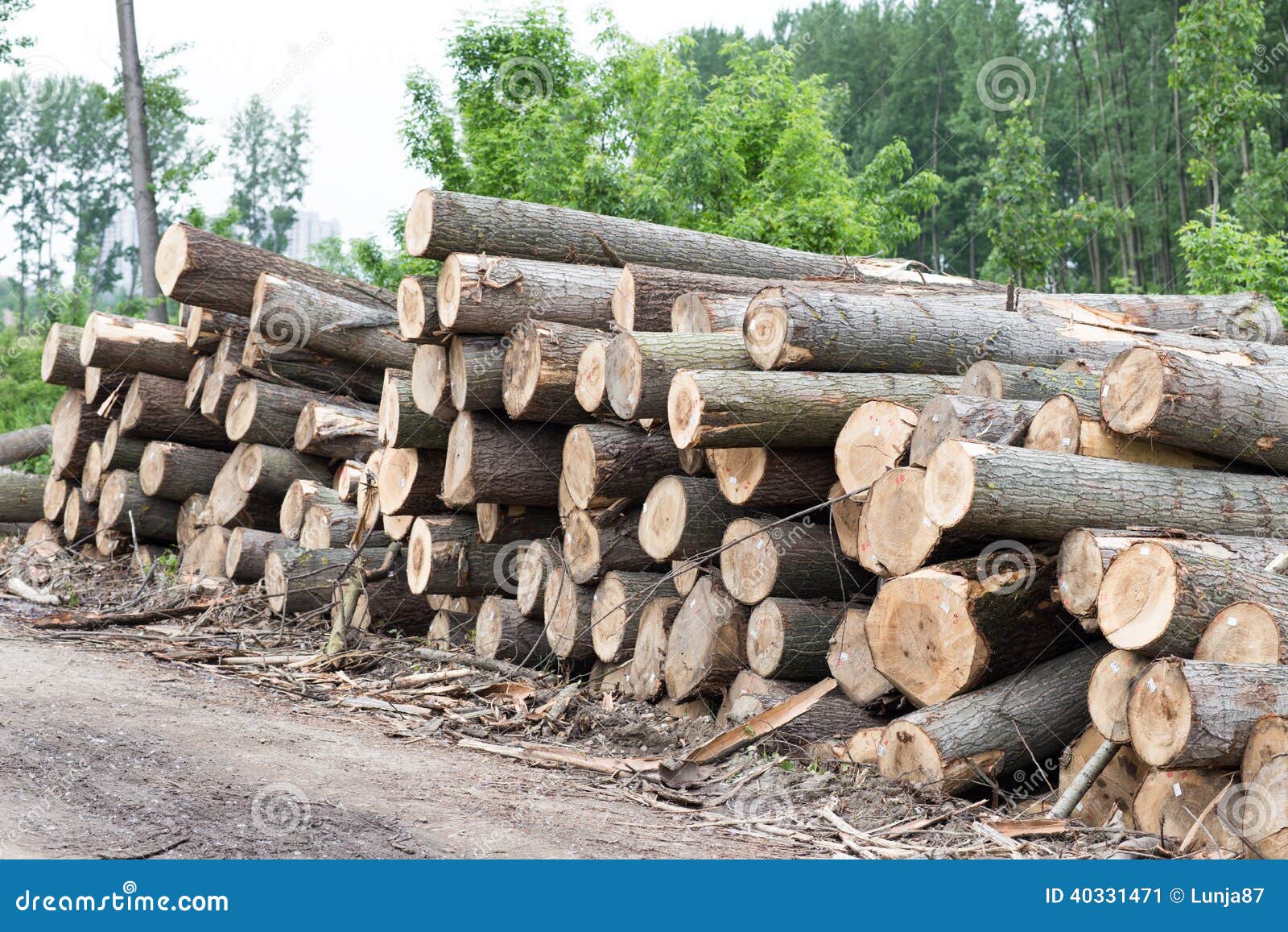 Freshly cut tree logs stock image. Image of logging, logs - 40331471