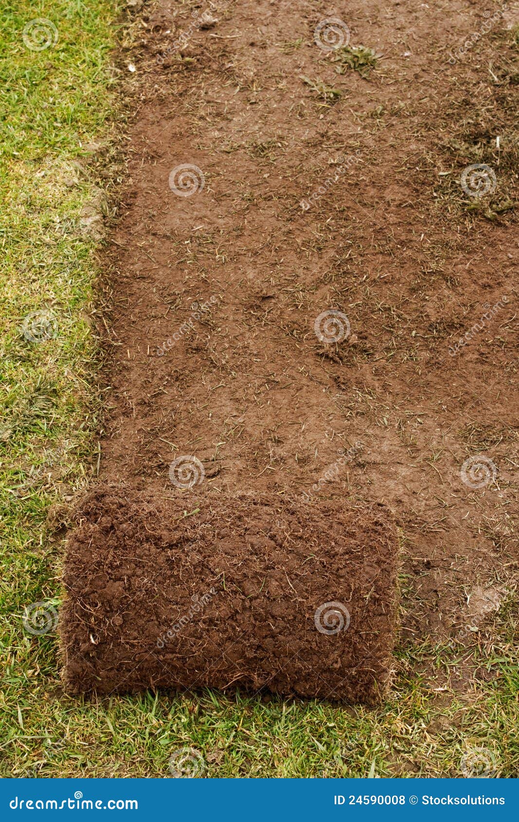 Freshly Cut Turf stock photo. Image of golf, lawn, turf - 24590008