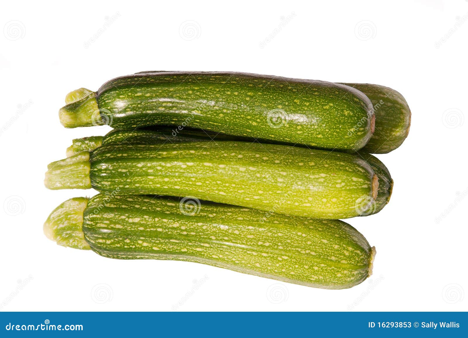 Freshly Cut Zucchini or Courgettes Stock Image - Image of flower, fresh ...