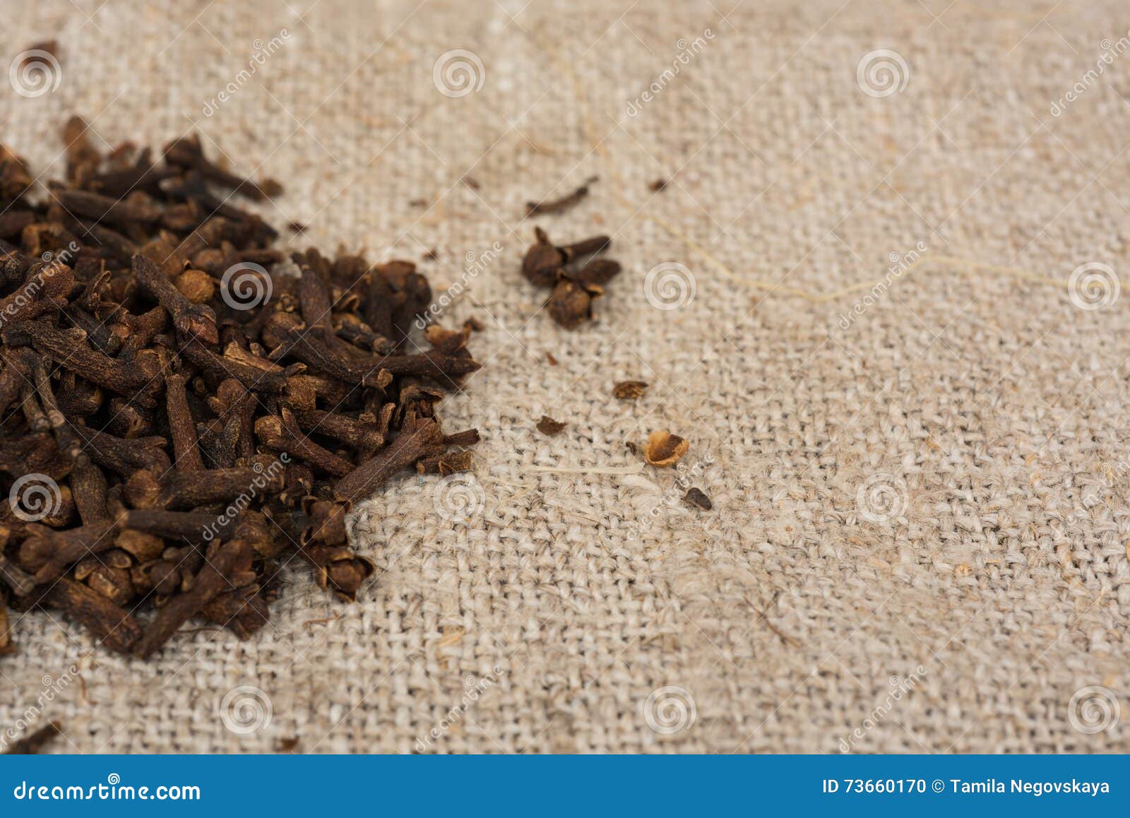 Freshly dryed clove spice stock photo. Image of carnation - 73660170